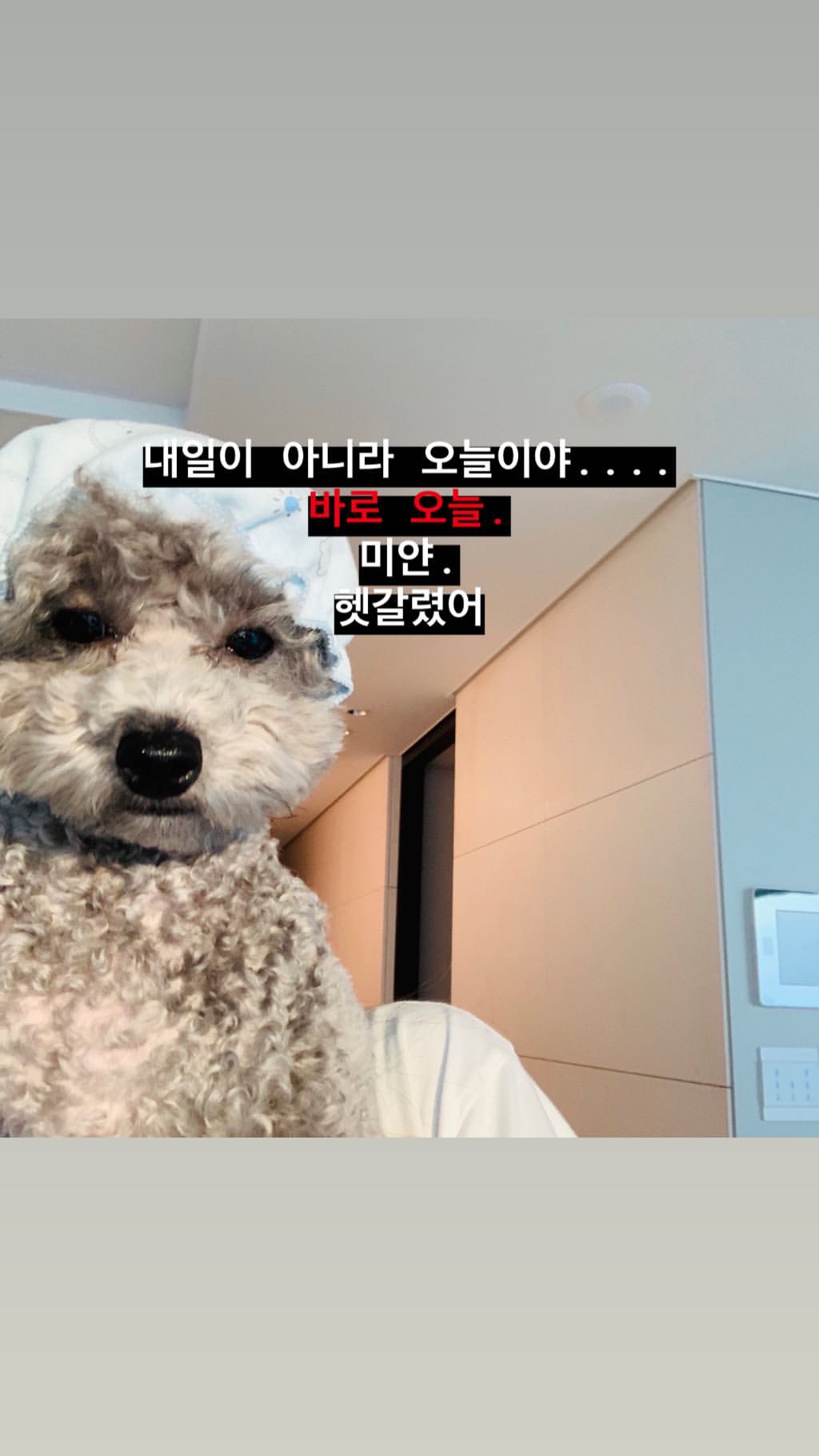 Media 2022972 by Taeyeon