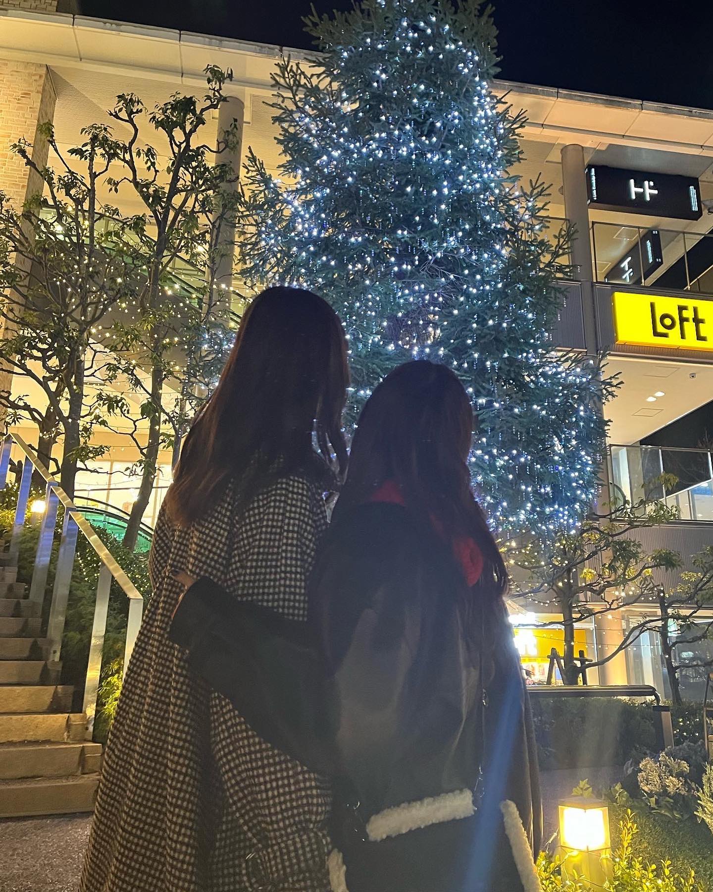 Media 4715964 by Kamimura Ayuka