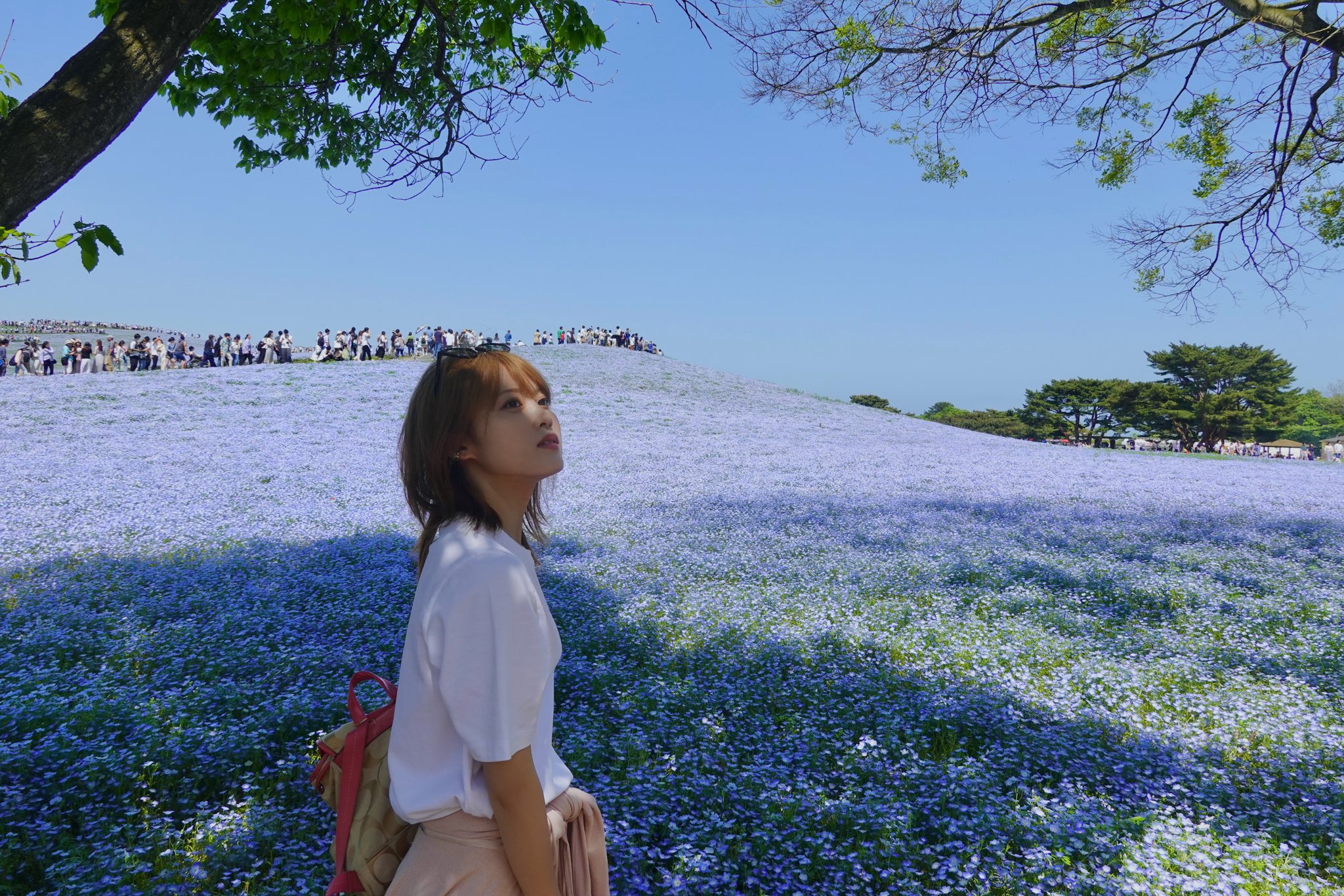 Media 5508649 by Okabe Rin